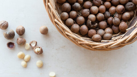 Queensland nut and other names for the macadamia nut - Australian ...