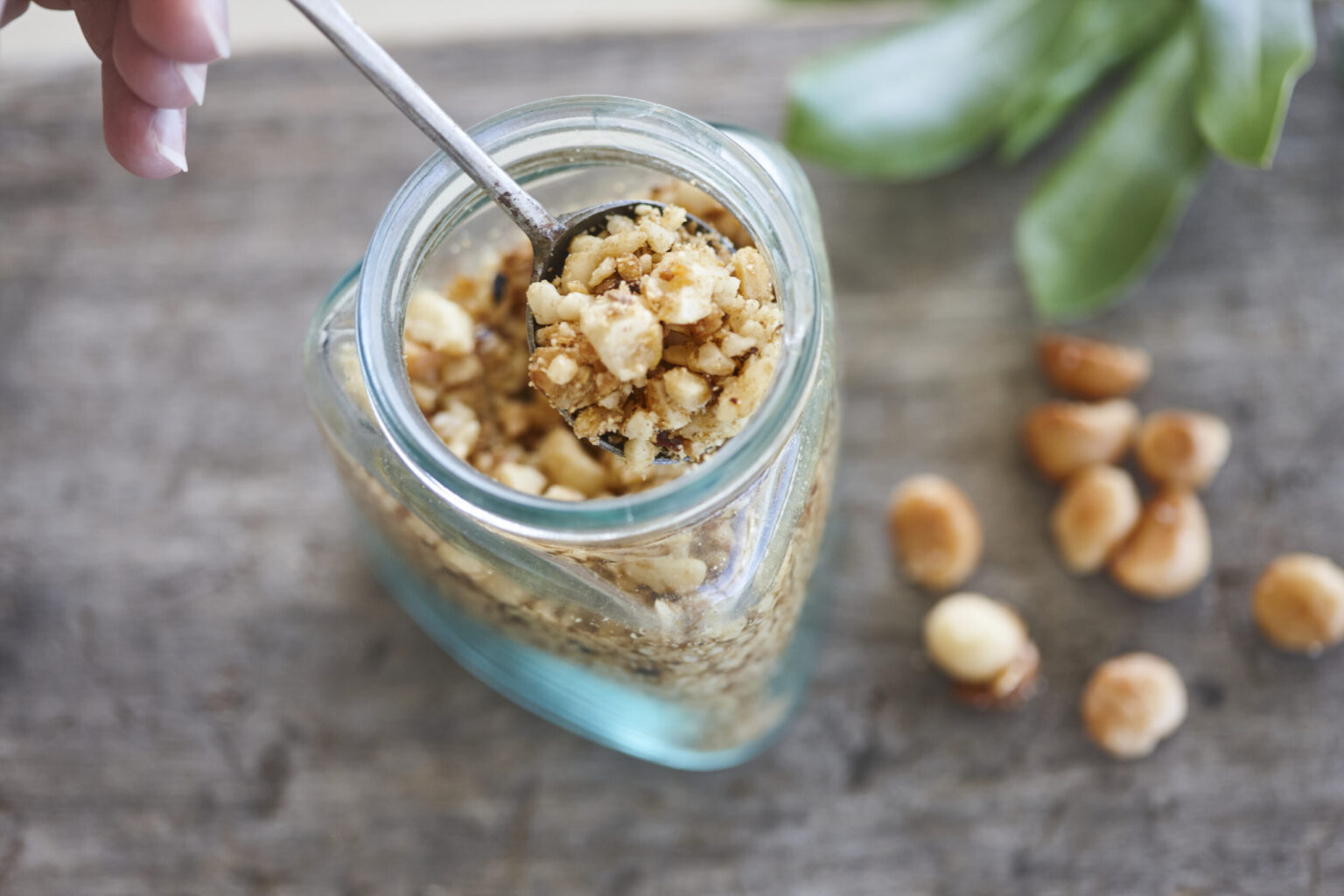 Recipes - Australian Macadamias