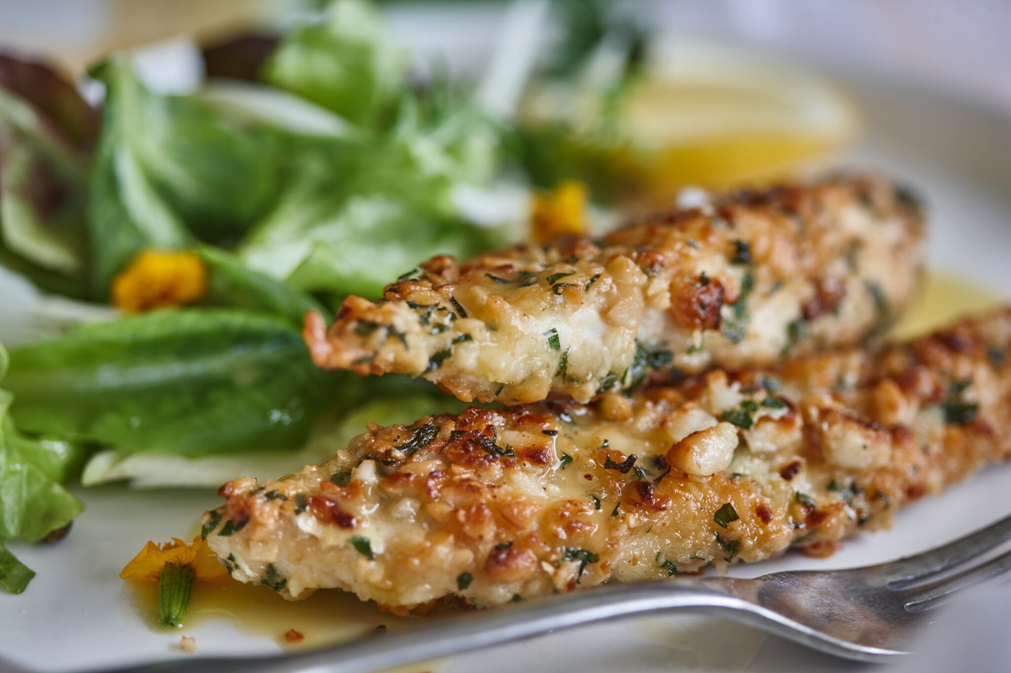 Purchase - Australian Macadamias