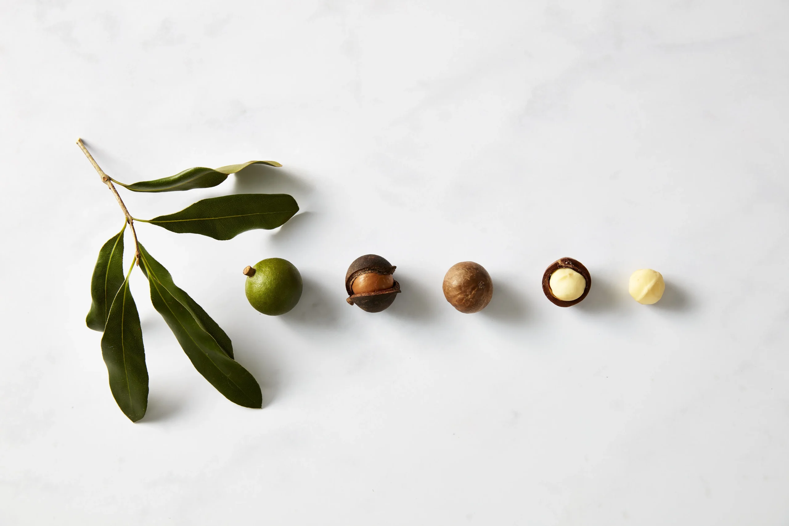 A natural choice - Australian Macadamias