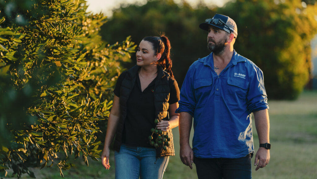 Grower profile: Abdy Family - Australian Macadamias